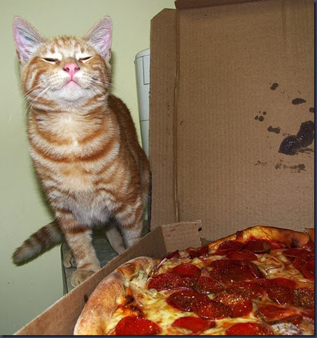 Kitty Stampede: Pizza Cats